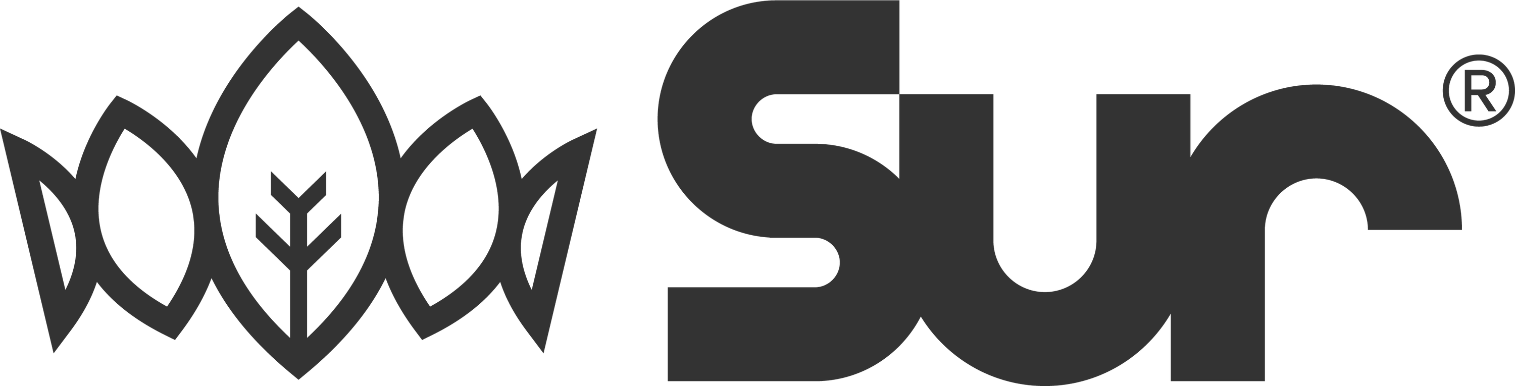 Your Guide to the World Marathon Majors – Sur Nutrition